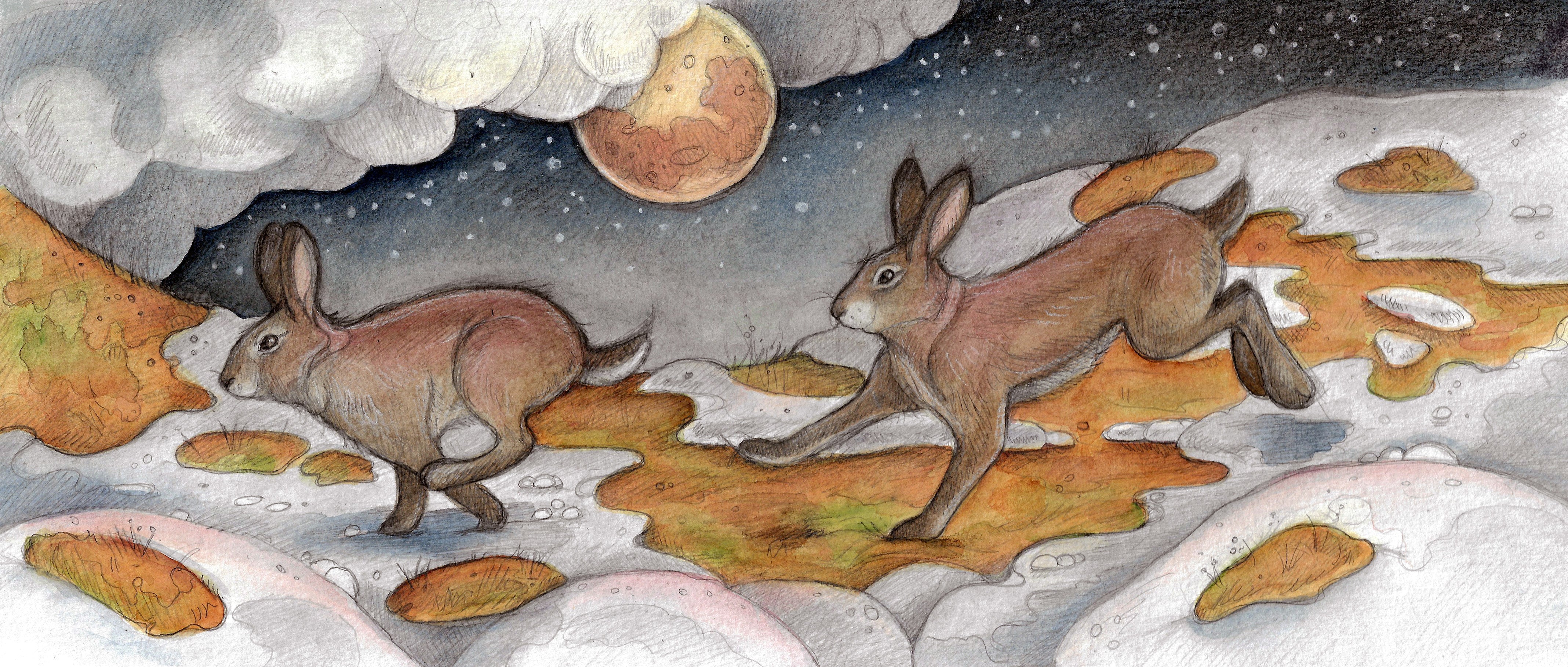 Studio Ferguson - The art of Lisa Ferguson