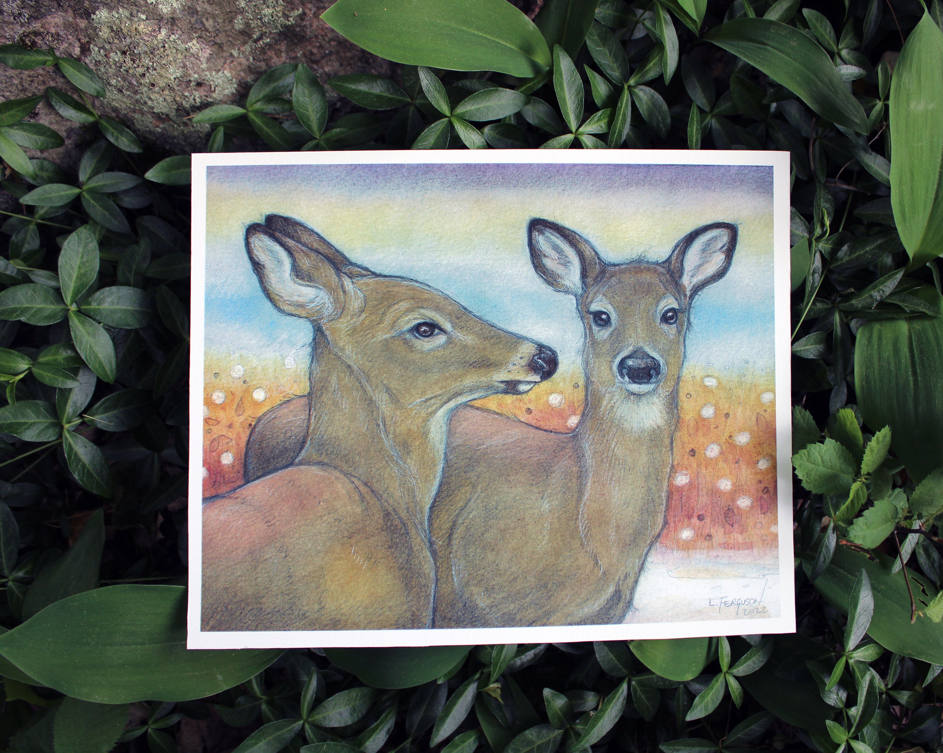 Studio Ferguson - The art of Lisa Ferguson