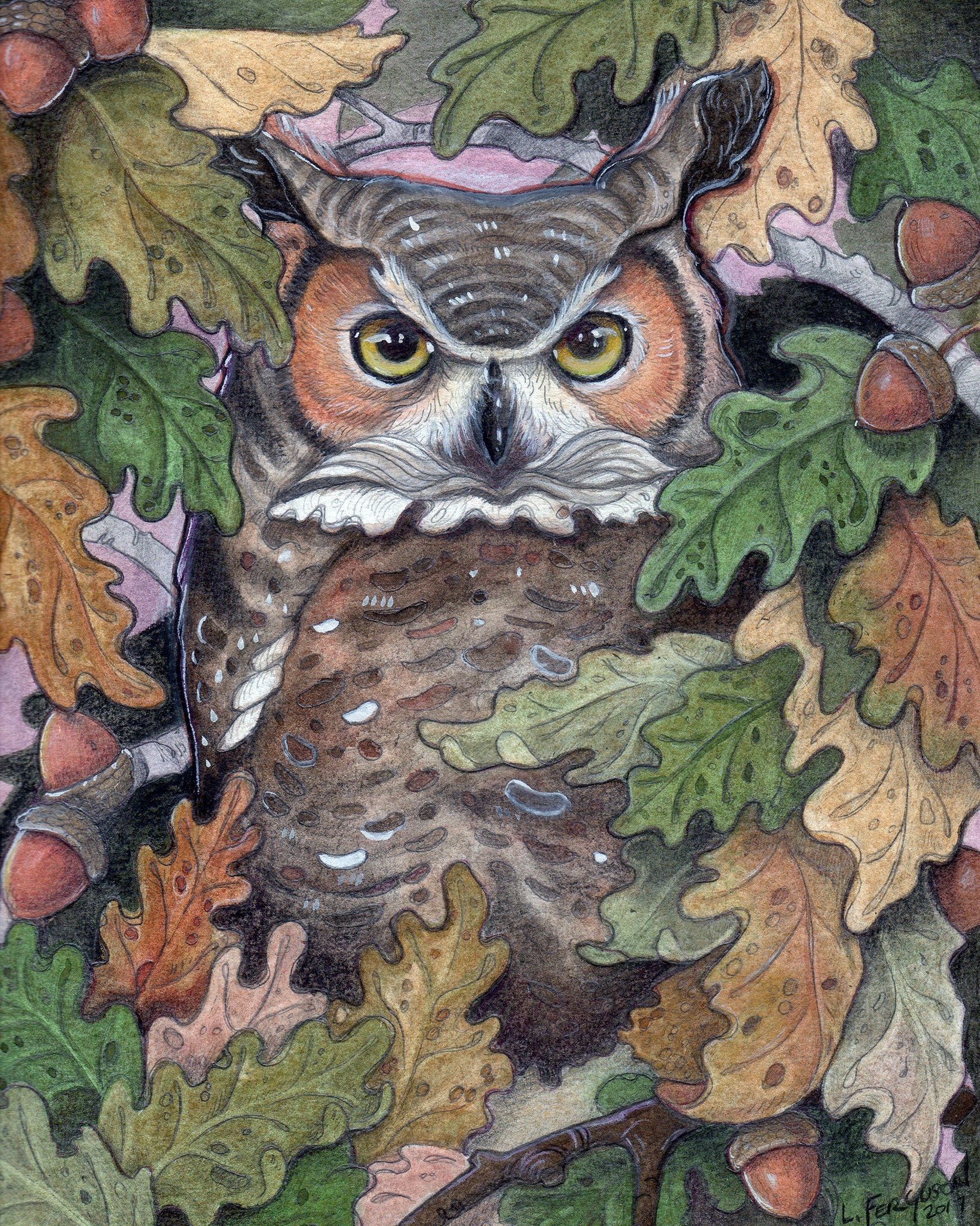 Owl In Oak Tree - Print – Studio Ferguson