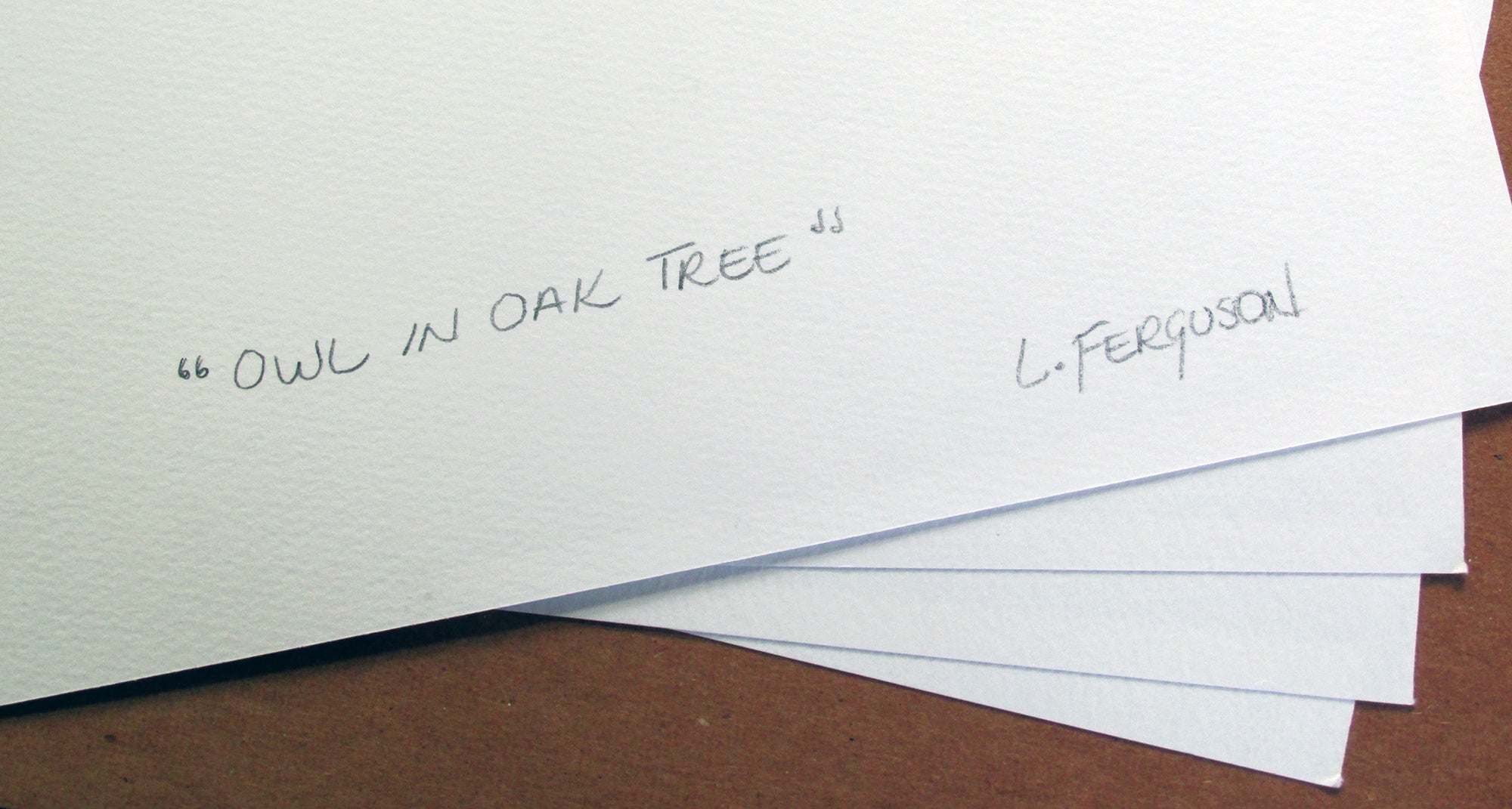 Owl In Oak Tree - Print – Studio Ferguson